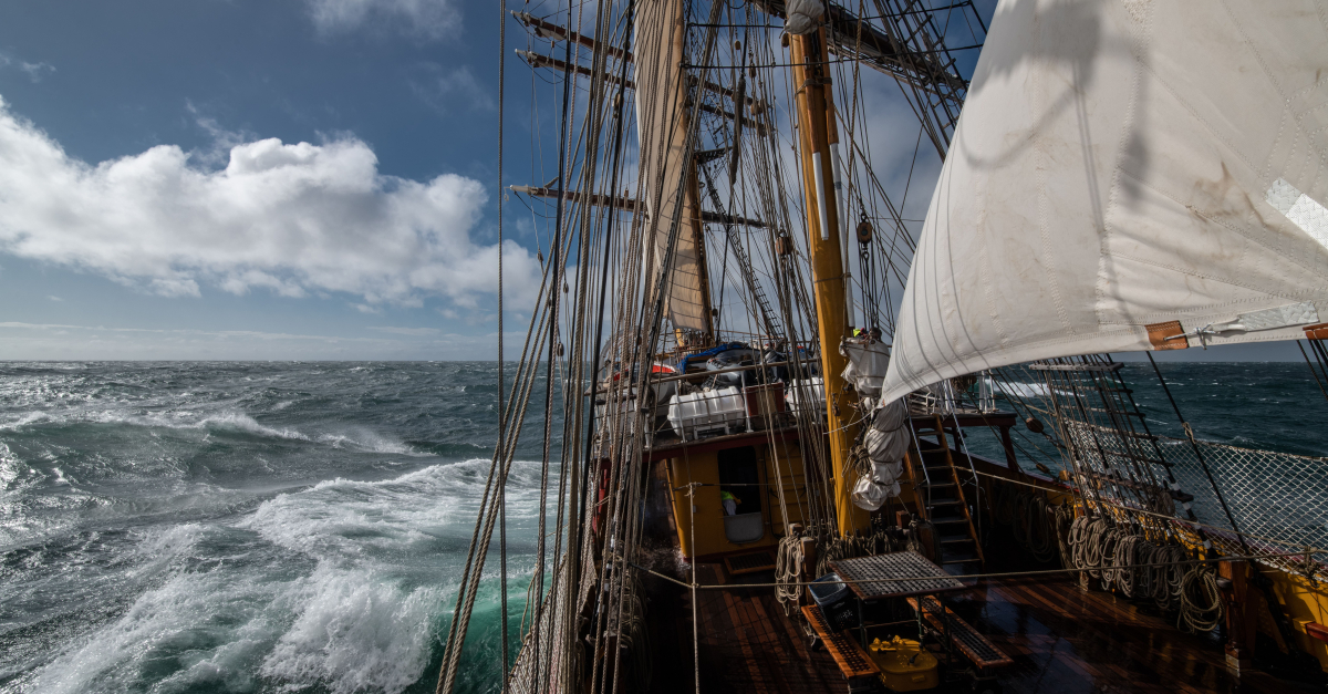 Posrep | Bark EUROPA