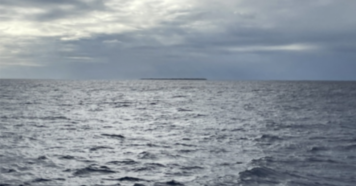 The History Corner | Bark EUROPA