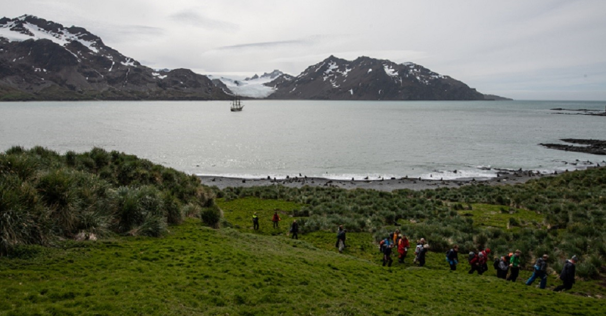 Fortuna Bay (Whistle Cove and Shackleton Hike from Fortuna to Stromness ...